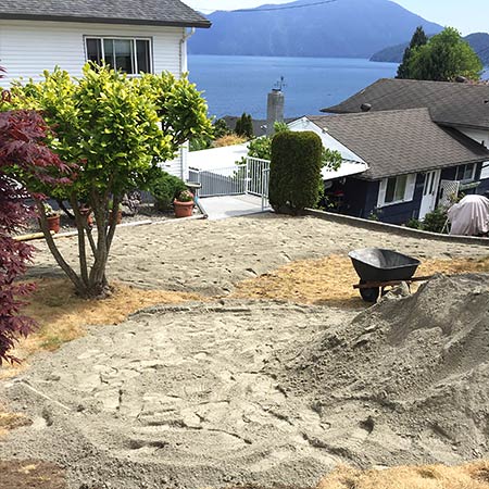 Your new Hydroseeded lawn | Water, Mow, Fertilizing & Weeds